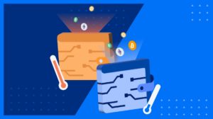 What Is Digital Asset Custody? Solutions, Benefits & Challenges ...