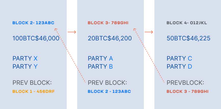 Blockchain Basics Guide | Fireblocks Academy